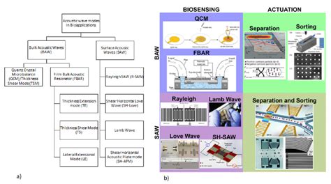 a classification of acoustic wave modes used for bioapplications and
