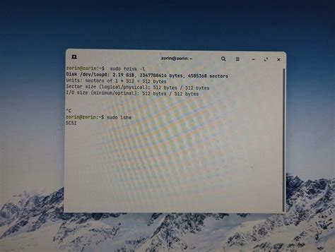 Devsda Inputoutput Error And The Zorin Installer Very Slow