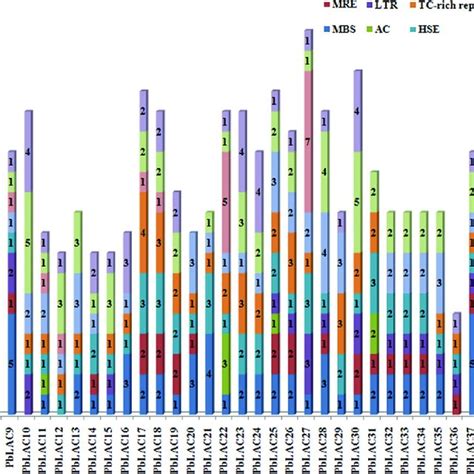 Analysis Of Cis Acting Elements Of Pblacs Different Cis Elements Are