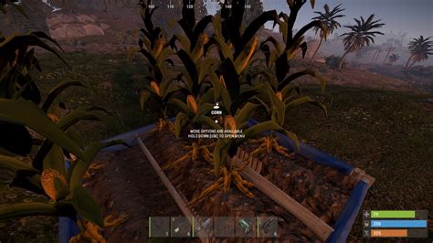 Gamever Io Next Gen Game Hosting