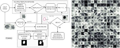 In The Left Is The Algorithms Flowchart For Measuring Psds Called Download Scientific Diagram