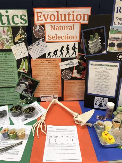 Atmega 8 Based Development Board For Robotics Embedded Artofit