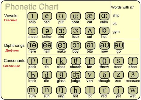 Знаки транскрипции