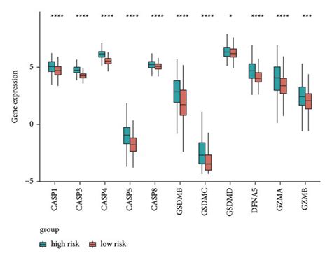 Pyroptosis Risk Model A Distribution Of Genes In The Pyroptosis Risk Download Scientific
