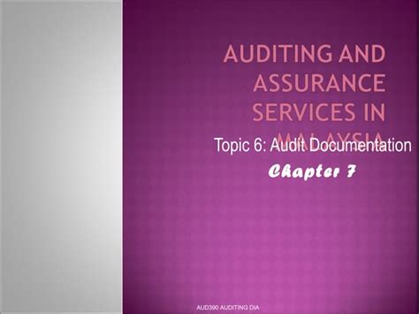 Audit Documentation Presentation Pptx