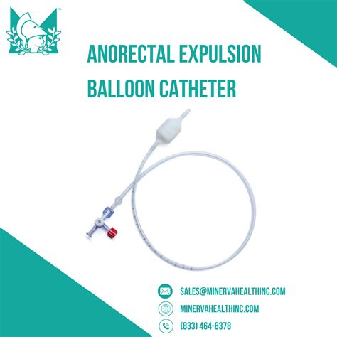 Pelvic Floor Therapy Anorectal Balloon Catheters