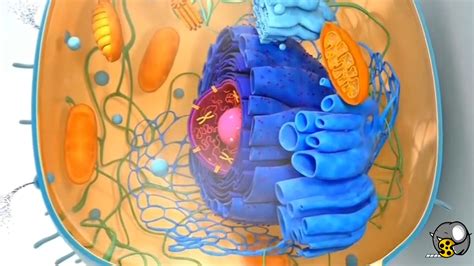 سلول سه بعدی به صورت انیمیشن فیلو