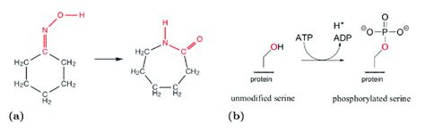 Chemical Reaction Example