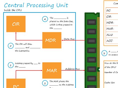 Central Processing Unit CPU And Memory Revision Worksheet Teaching Resources Lupon Gov Ph