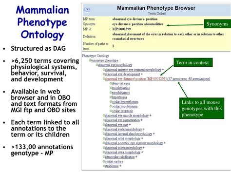 Ppt Using Ontologies To Annotate Phenotypic Data Powerpoint