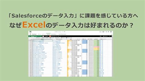 Salesforceのデータ入力」に課題を感じている方へ～なぜexcelのデータ入力が好まれるのか Raykit活用ブログ