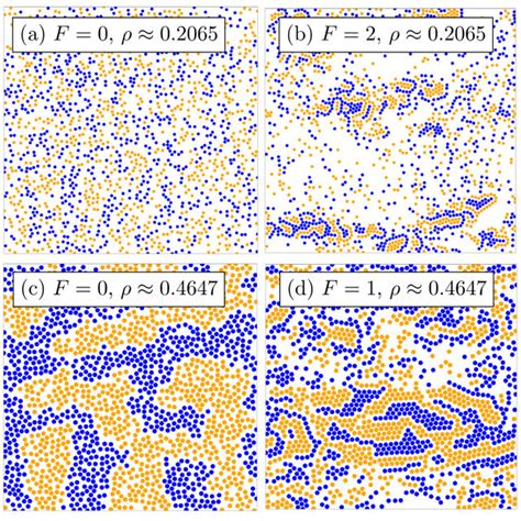 A Binary Colloidal Mixture In Two Dimensions Simulated For 10⁸ Time Download Scientific