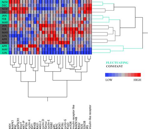 Hierarchical Cluster Of NCounter Results Two Way Hierarchical Cluster