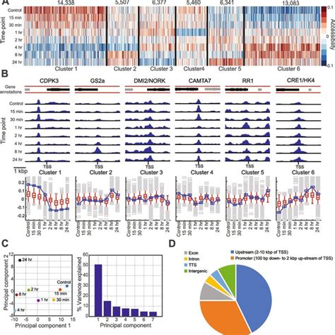 Chromatin Accessibility Data Exploratory Analysis A Clustering Of