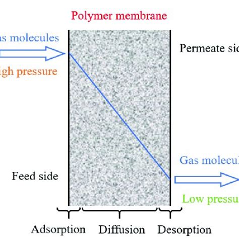 A Schematic Diagram Of The Solution Diffusion Process Download Scientific Diagram