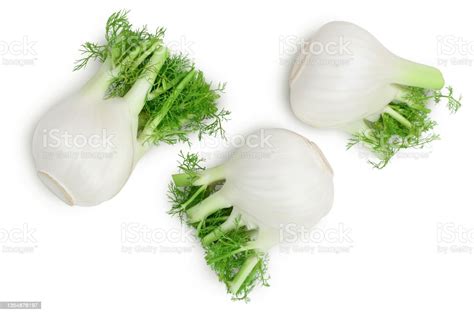 클리핑 경로와 전체 깊이의 필드가있는 흰색 배경에 격리 된 신선한 회향 전구 맨 위 보기입니다 플랫 레이 0명에 대한 스톡 사진 및 기타 이미지 Istock