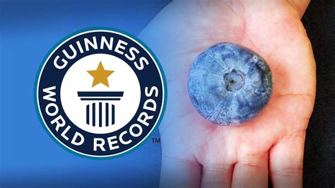 Worlds Heaviest Blueberry Which Weighs 20 4gm Earns Guinness World Record