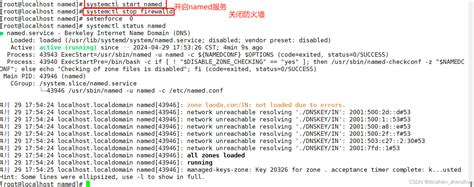 linux网络之dns域名解析 linux中的dns域名解析协议 csdn博客