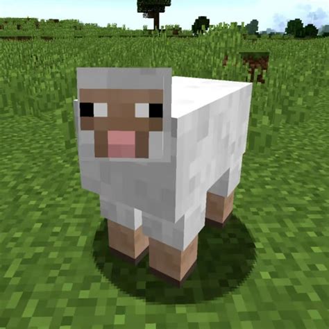 羊仔游戏解说 Youtube