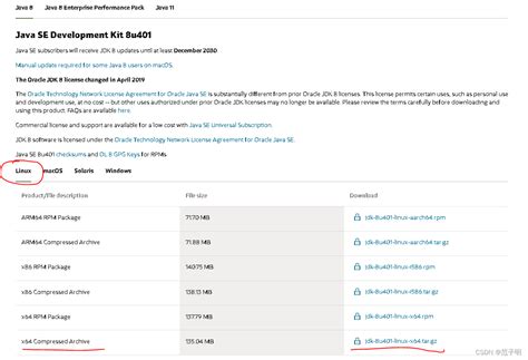 Linux下的java安装liunx中java Version Csdn博客