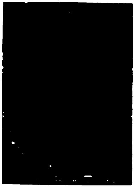 Method For Purifying Recombined Hansenula Polymorpha Hepatitis E Virus Like Particles And