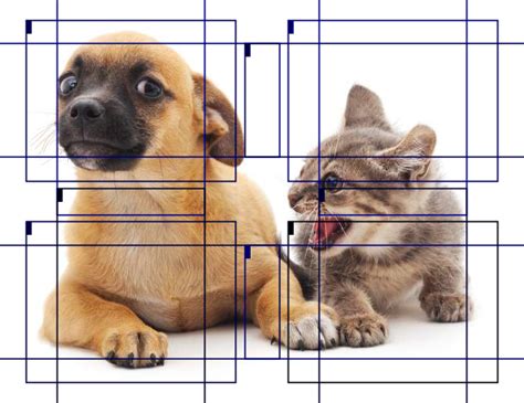 13 3 Multiscale Object Detection — Dive Into Deep Learning 0 1 0
