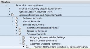 Automatic Payment Program Run In SAP FI Customize Payment Program