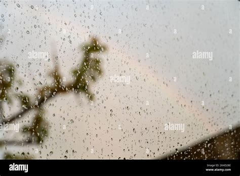 Rainbow Through A Window Drops On The Window Pane Tree Branch Behind