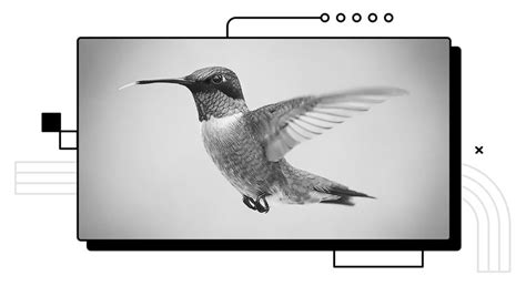 Best Flutter Ide For Front End Development