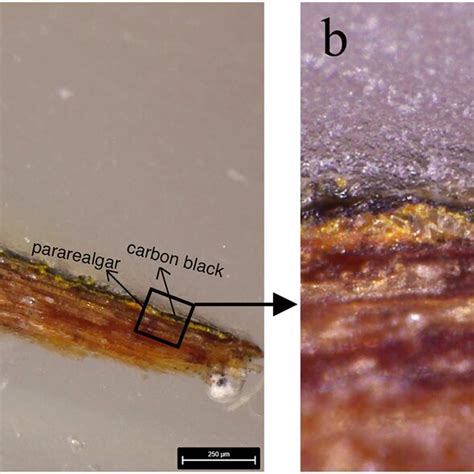 Micrographs Of Sp4 Cross Sections Magnified A 380 × And B 1700 ×