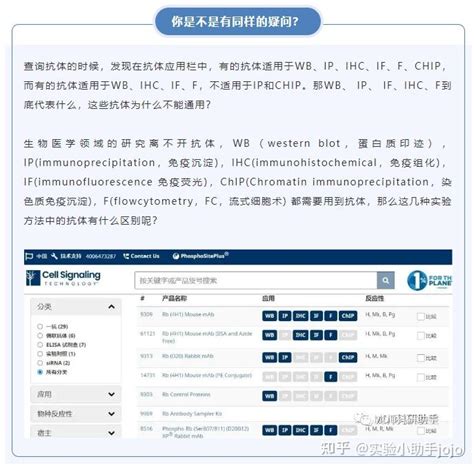 干货分享 知其然知其所以然，wb、ip、ihc、if、chip、fc六种抗体的区别 知乎