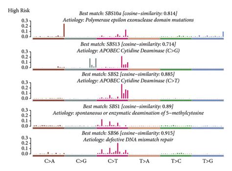 De Novo Mutational Signature Analysis Mutation Signatures Matched
