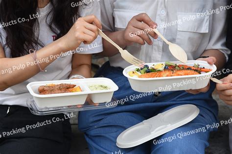 Paper Vs Bagasse Tableware Which Is More Sustainable Qiaowang