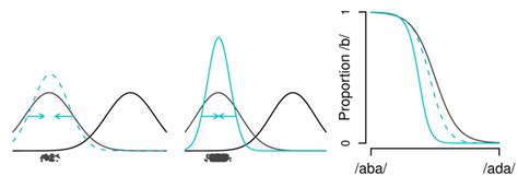 Distributional Learning Accounts For The Negative After Effects Download Scientific Diagram