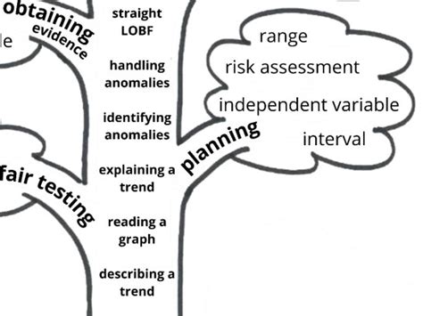 Working Scientifically Vocabulary Tree Diagram Teaching Resources