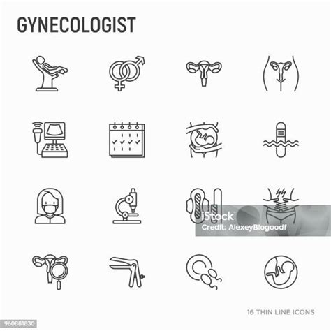 산부인과 의사 선 아이콘 세트 자 궁 난소 부인과 자 임신 초음파 생리대 테스트 배아 생리 배 란 질 확장기 현대 벡터