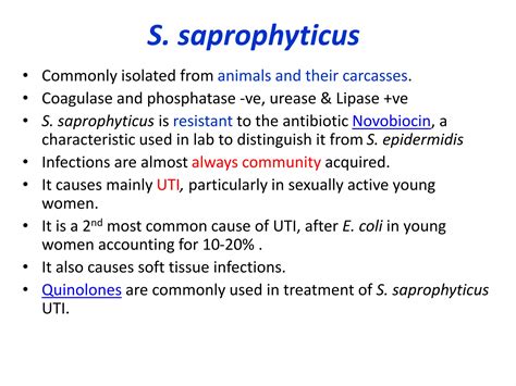 Staphylococcus And Streptococcus Pptx Infectious Diseases