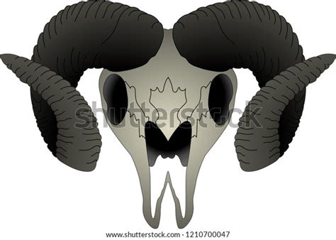 Ram Head Horns Stock Vector Royalty Free 1210700047 Shutterstock