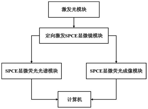 Surface Plasma Coupling Emission Directional Enhancement Type