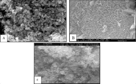Sem Image Of A Tio2 B Mwcnt Cocopas C Tio2 Mwcnt Cocopas