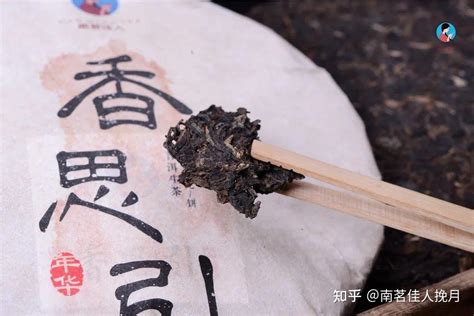 普洱茶上的黄点到底是什么？ 知乎