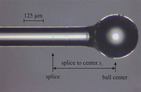 A Microscope Image Of A Fiber Ball Lens 270 µm Diameter With A Download Scientific Diagram