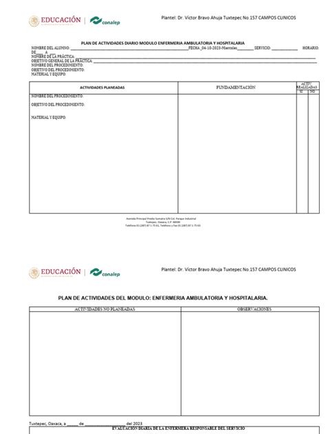 Plan De Actividades Pdf