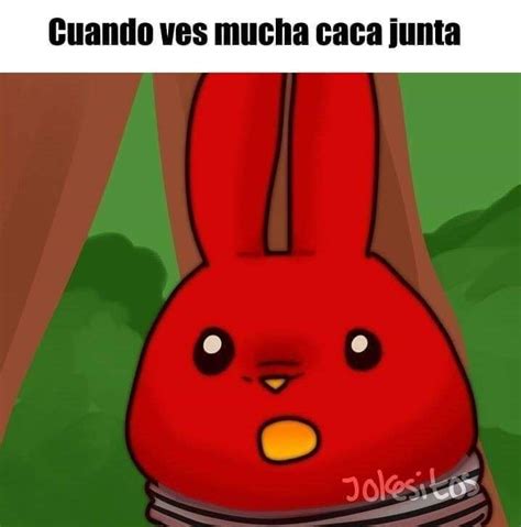 Cuando Ves Mucha Caca Junta Chile