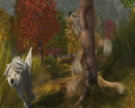 Alpha And Omega Wolf Sex Sex Pictures Pass