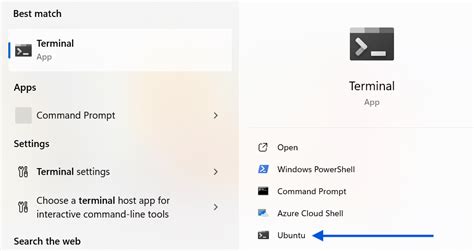 Using The Terminal Openscpca Documentation