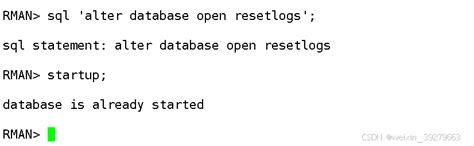 使用rman进行异机恢复oracle数据库oracle Rman异机恢复 Csdn博客
