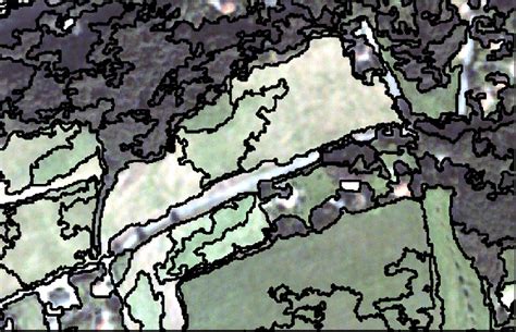 Segmentation Result Of Ecognition 21 Download Scientific Diagram