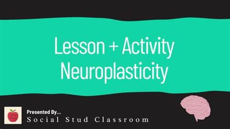 High School Psychology Neuroplasticity Lesson Brain Plasticity