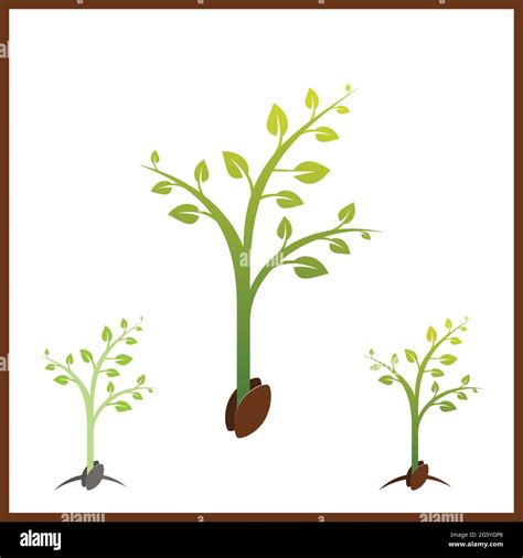 Seedling Sprout Sapling Flat Icon In Illustrator Stock Vector Image And Art Alamy